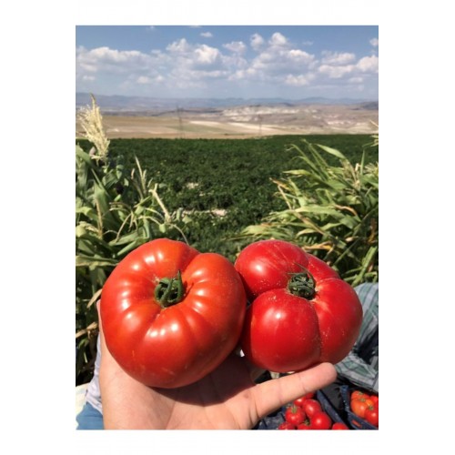 Yerli Doğal Sebze Tohumları