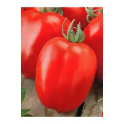 Yerli Doğal Sebze Tohumları