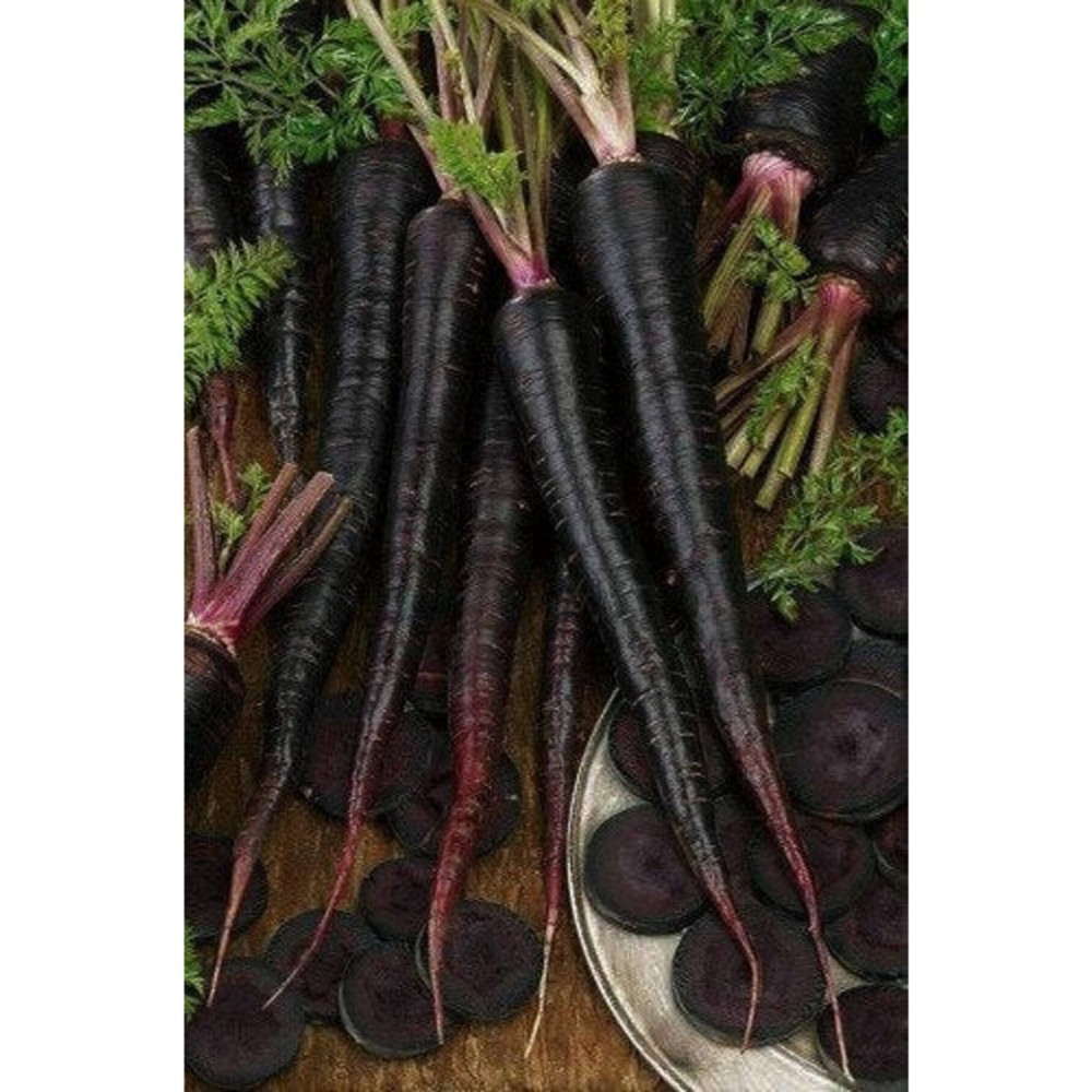 Doğal Siyah Mor Havuç Sebze Tohumu 1000 Ad. Yerli Tohum
