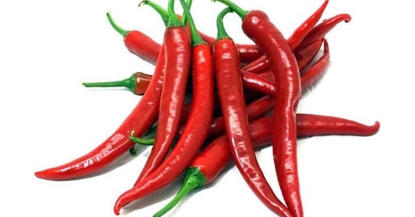 Ithal Doğal Acı Şili Biberi Acı Biber Hot Chılean Pepper 100 Ad Tohum